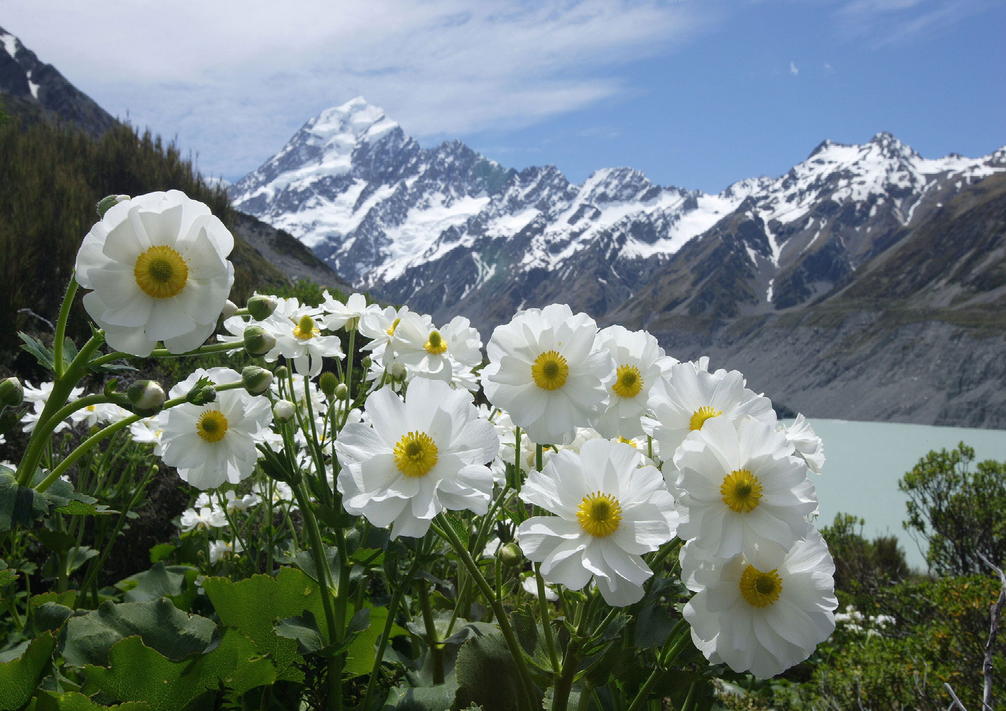 2 Day Mount Cook National Park Tour - Scenic Pacific Tours